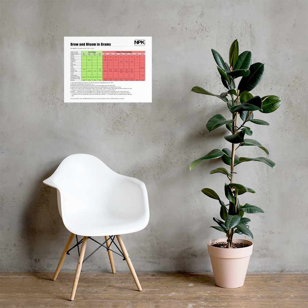 NPK RAW All-In-One Grow & Bloom Products Feeding Chart Grams Poster ...